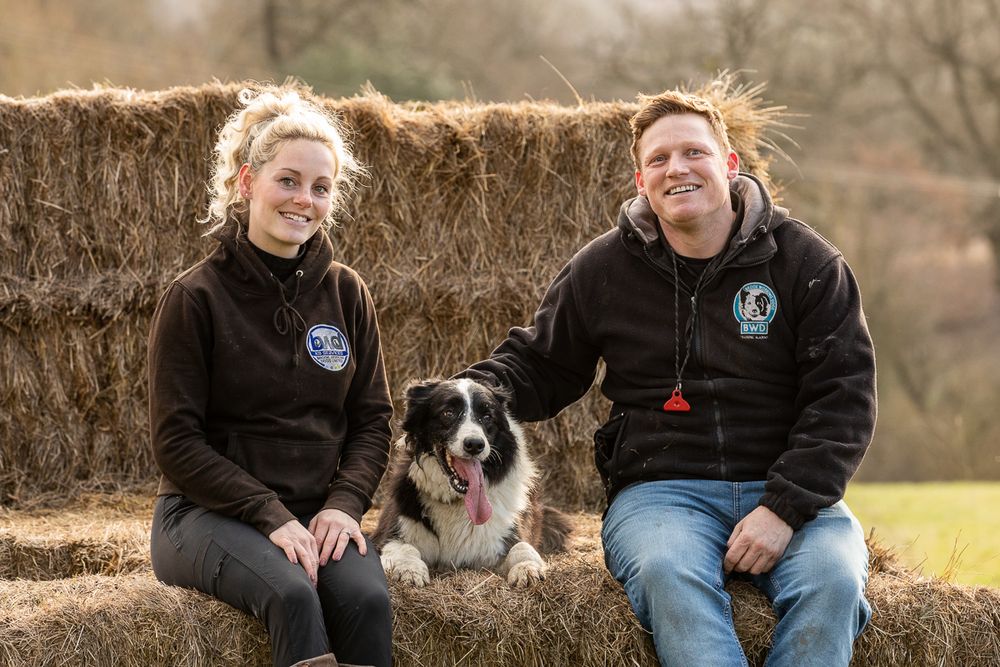 Brook Working Dogs - Imogen Moon ABIPP - Equine & Dog Photographer In ...