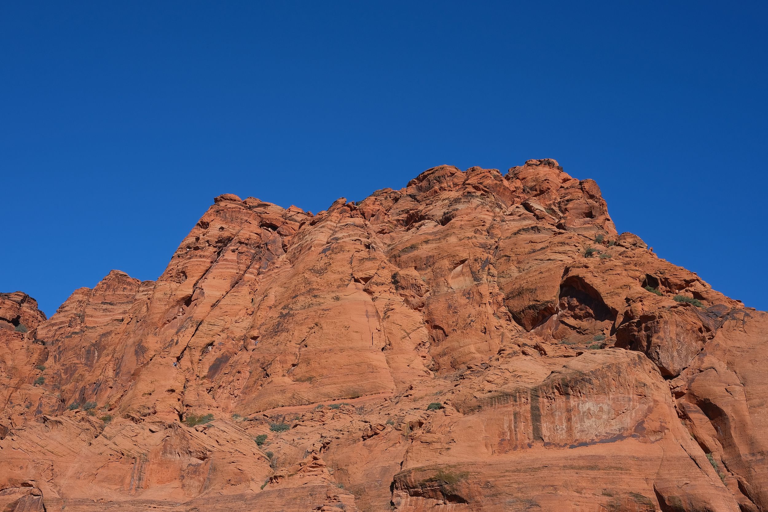 Fuji XT5 Recipes - Newborn Family Photographer Salt Lake City Utah ...