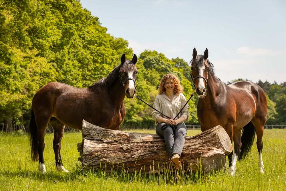 Laura, Wendy & Annie - Imogen Moon ABIPP - Equine & Dog Photographer In ...