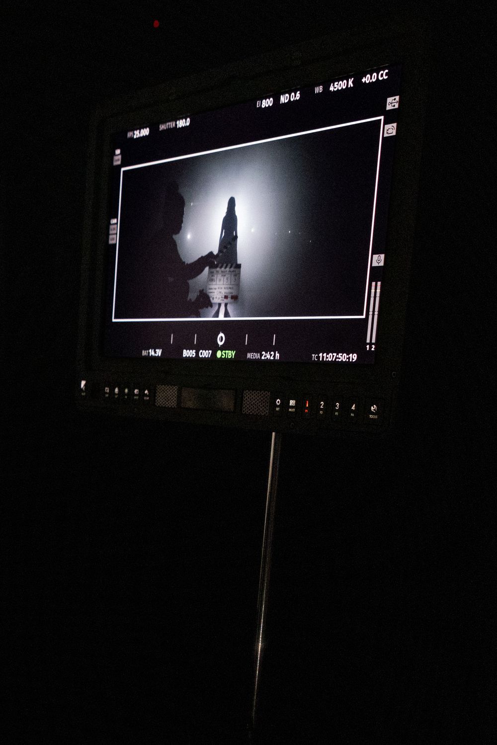 Navigating the Lights, Camera, Action - Emma Knaus Photo & Video