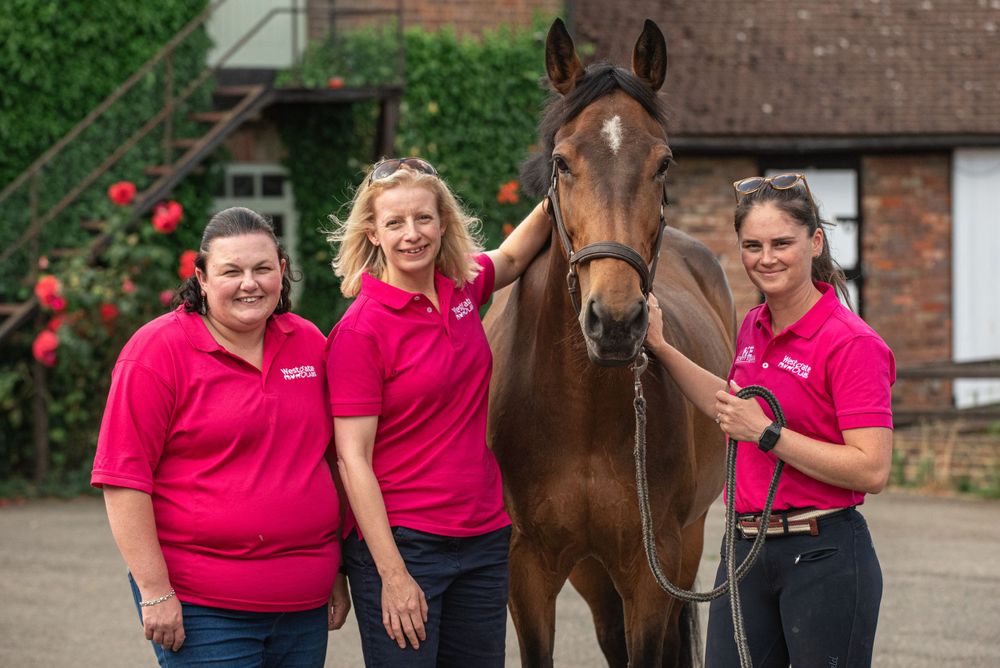 Westgate Labs X Hackett Equine - A Commercial Shoot - Holly Outtridge ...