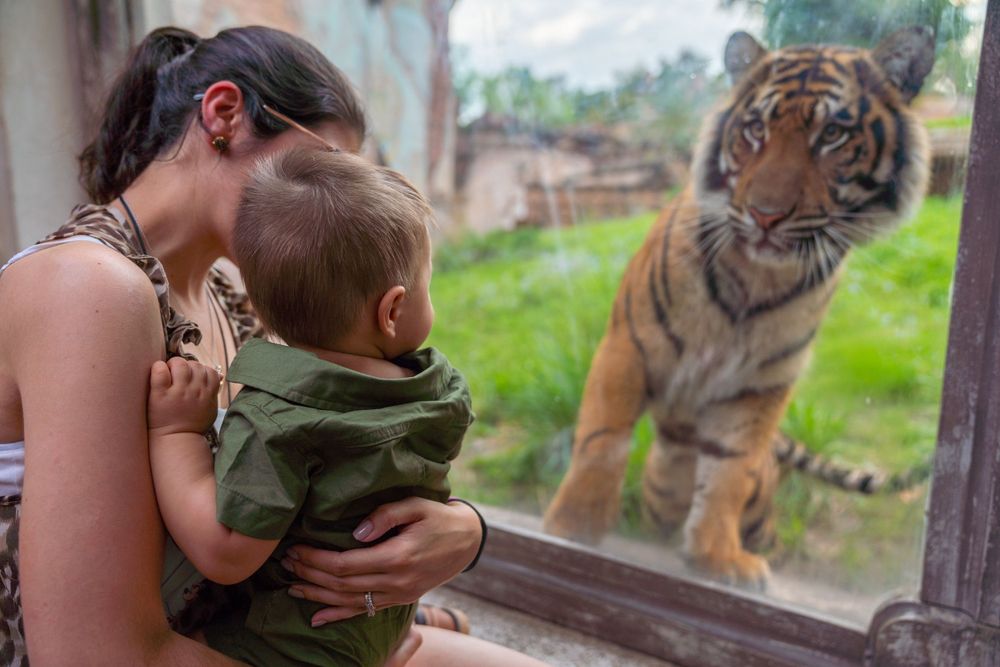 Wild About Adventure - Orlando Photographer - Sees the Day Photography