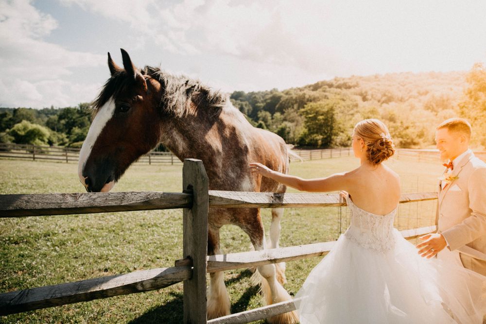 Aubrey + Jared's Wedding - Allisha Linnea' Photography