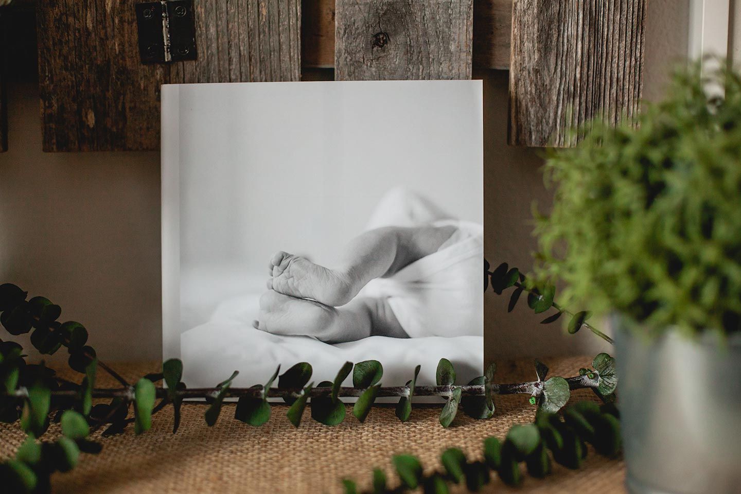 My Blog - Newborn, Senior and Family Photographer Ellensburg | Brindy ...