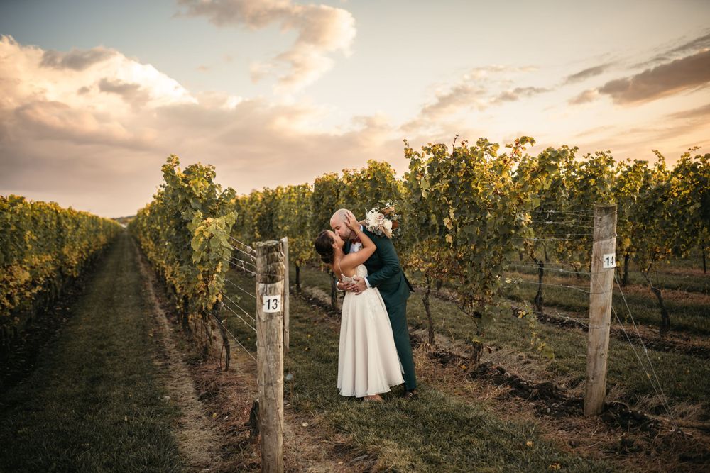 Vineyard Vows: Chloe and Ben's Dream Wedding at Honsberger Estate ...