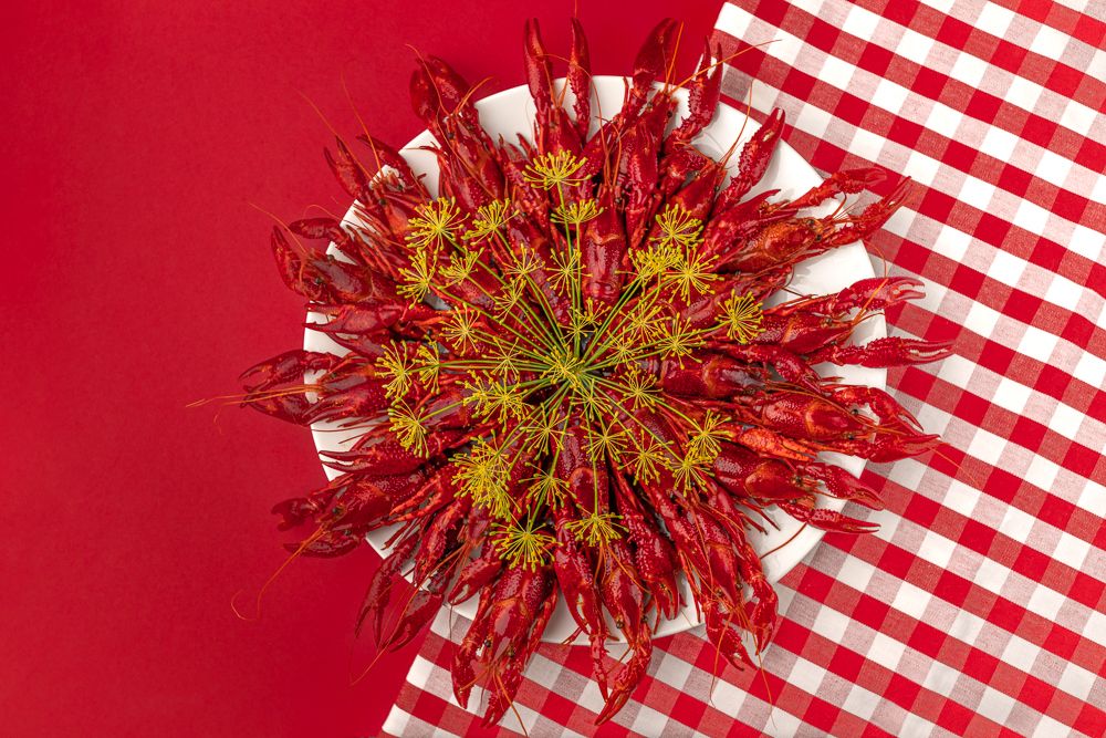 Let's Talk About Creative Education - Reka Csulak | Food Photographer | Espoo, Finland | Three ...