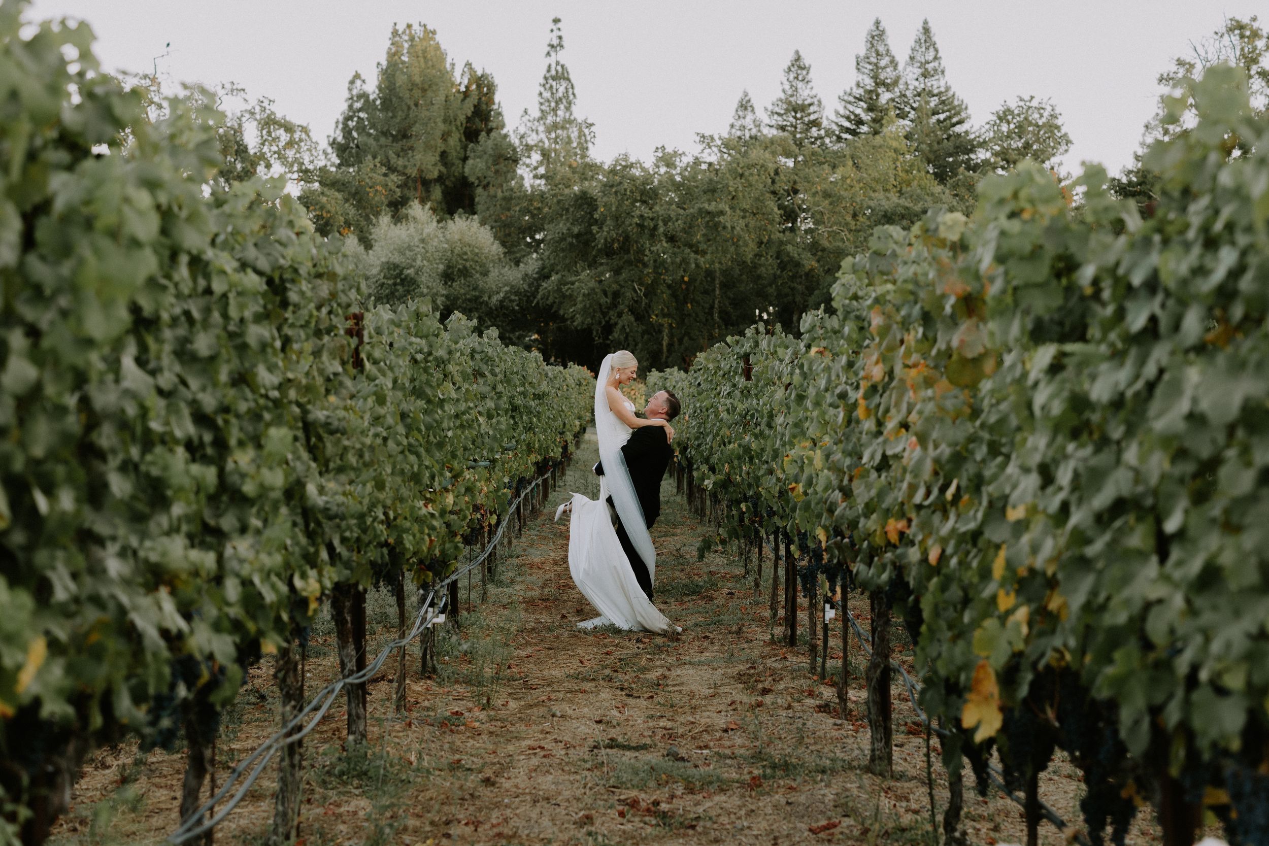 Alex & Robb Napa Wedding - Crista Ekstrand Photo