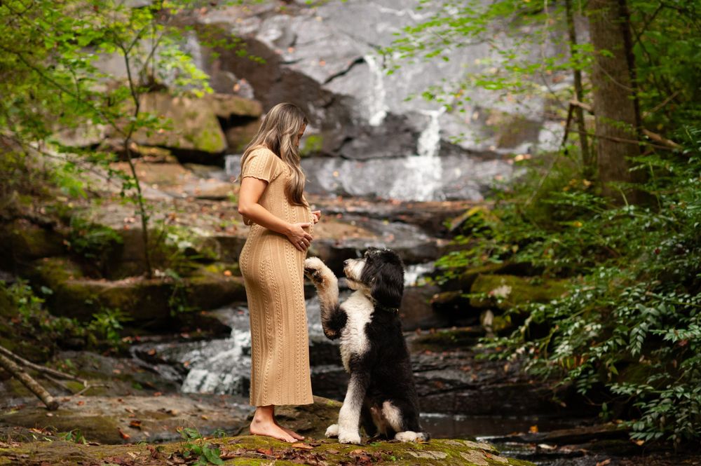 Asheville Maternity Photographer - Stephanie A Smith Photography