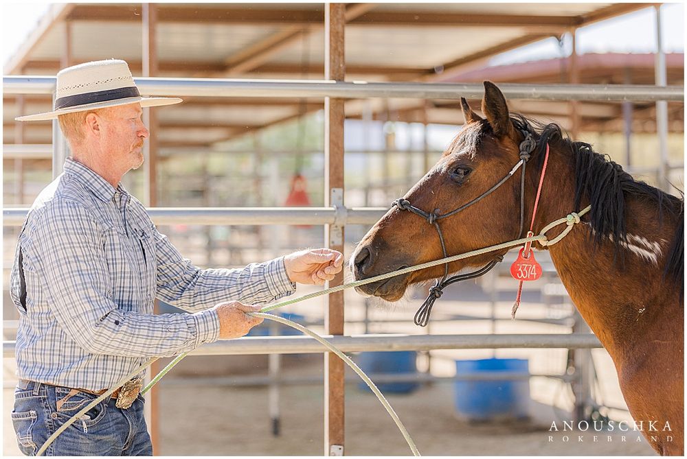 Mustang trainer first touches: Jeff cook & Lucky Strike - Equine, dog ...