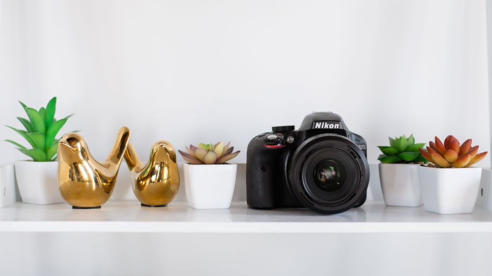 Happy Photography Month | Weber Photography | Milwaukee, WI Area ...