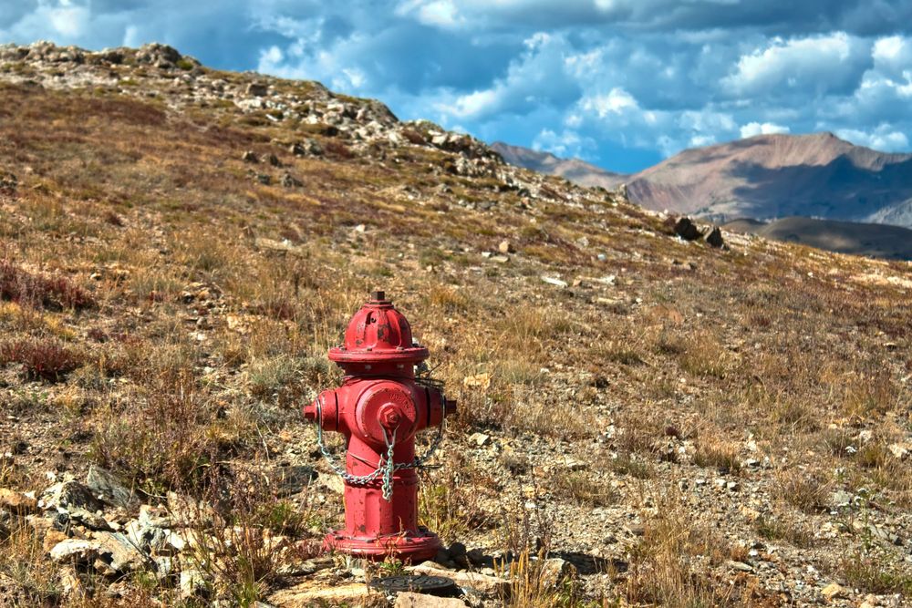 Out Of Place - Photo Lindley | Capturing Beauty in Fine Art Prints