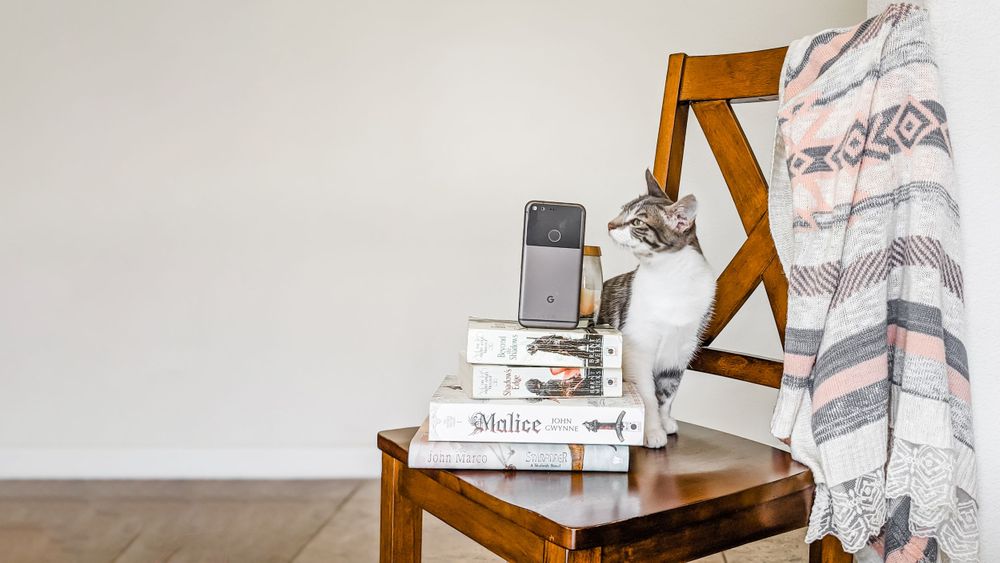 How to Take Self-Portraits with Your Phone - Morgan Potter Photography