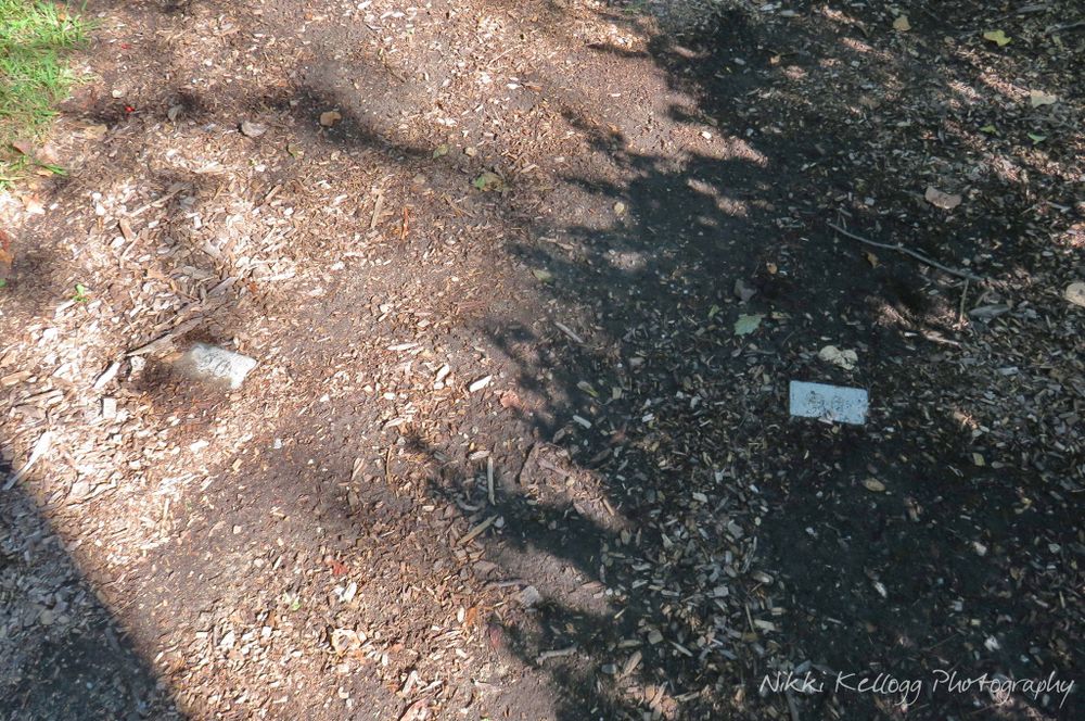 Green Burials - Funeral Photography by Nikki Kellogg