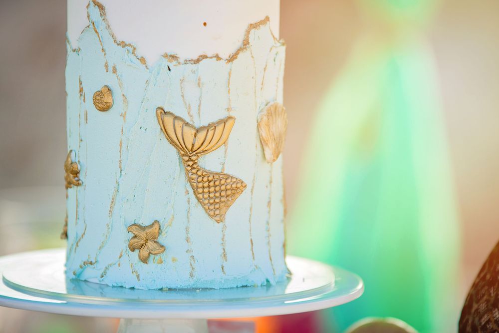 Nikki Olivier Photography