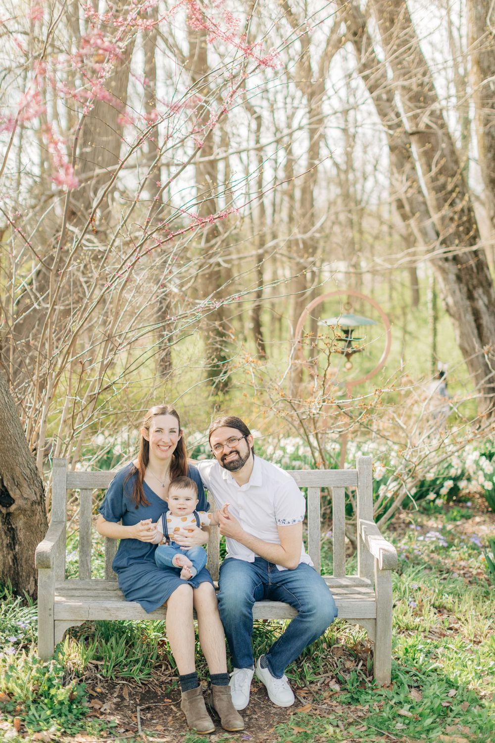 Spring at Meadowlark Botanical Gardens - Washington, DC & Northern ...