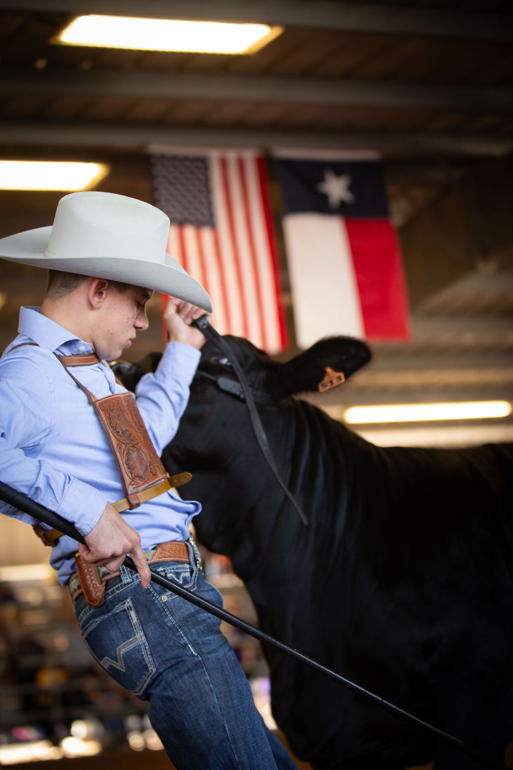 The Lone Star Cowboy: Pride in the Texas Showring - Johnny Saldana ...