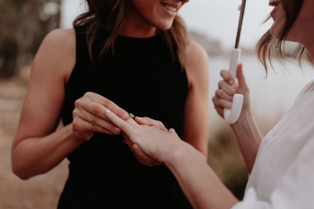 How to craft the perfect proposal - One Wild Collective