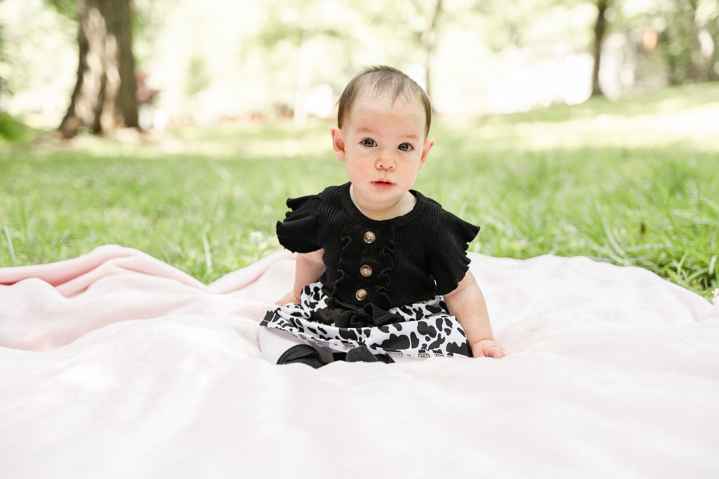 What is Sitter Session Photography? - Sarah Marchwiany Photography ...