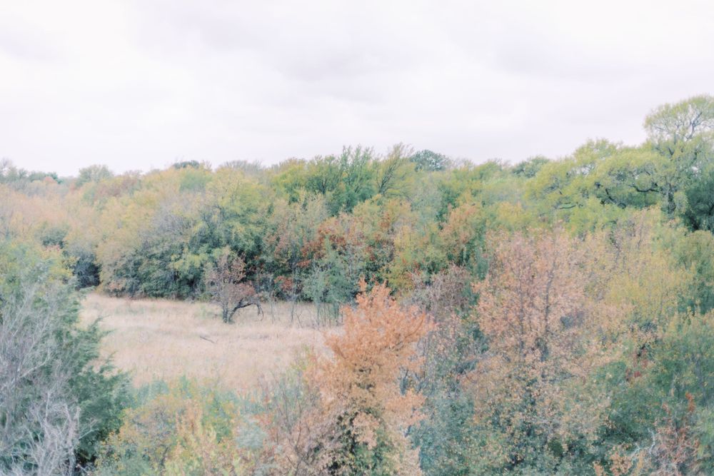 Autumn Magic: A Photographer's Guide to the Perfect North Texas Fall ...