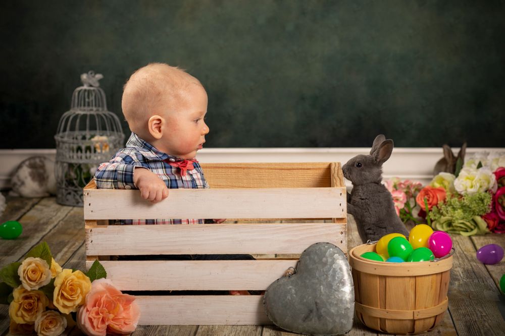 Taking Portraits with real bunnies! - Jackie Phairow Photography & Design