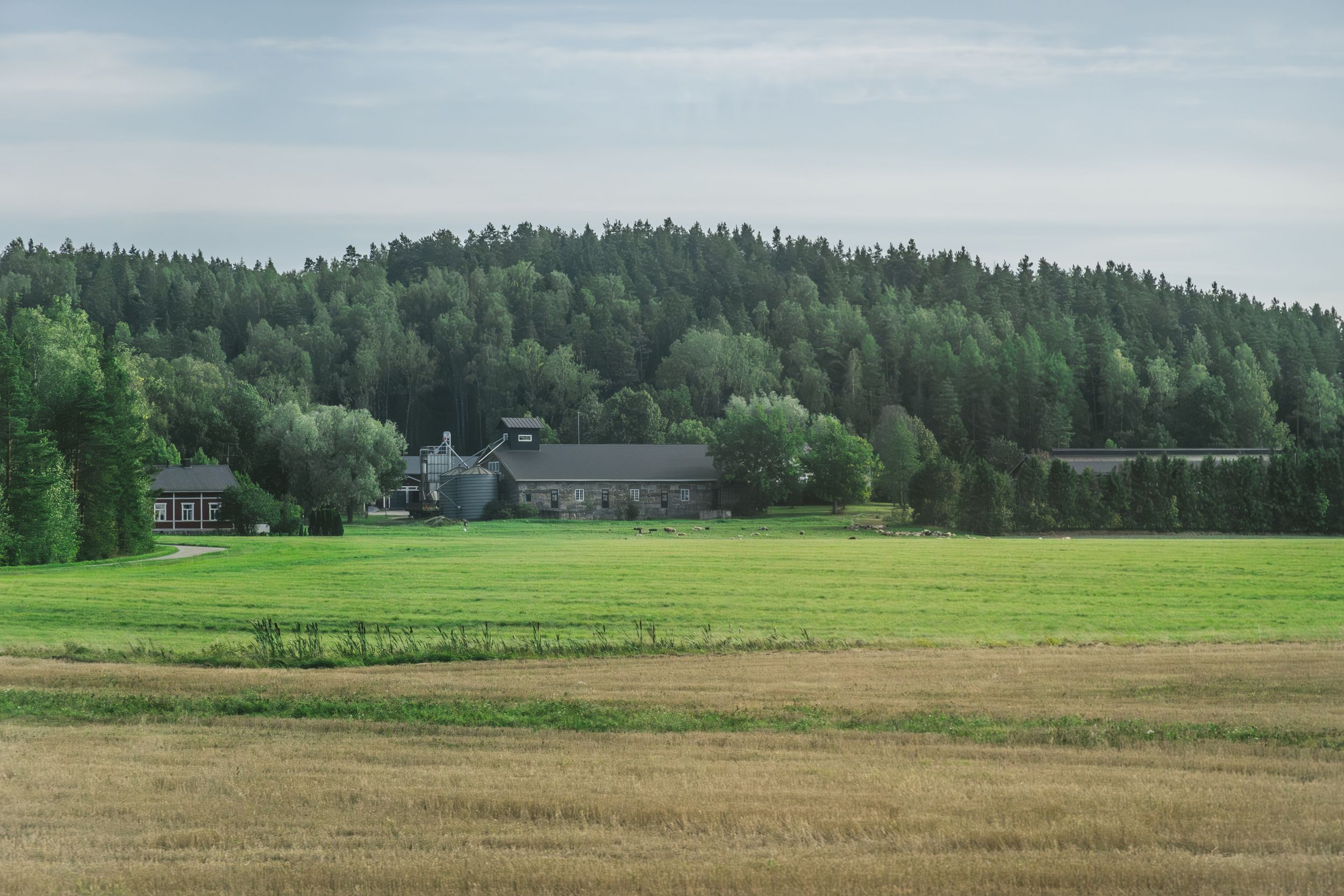 Blog - Recipes, Food Photography Tips - Three Pod Studio