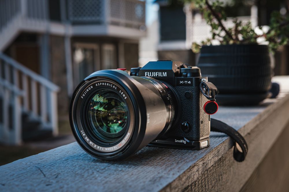 Switching Camera Systems (Why It Doesn't Matter) - LittleBear Photography