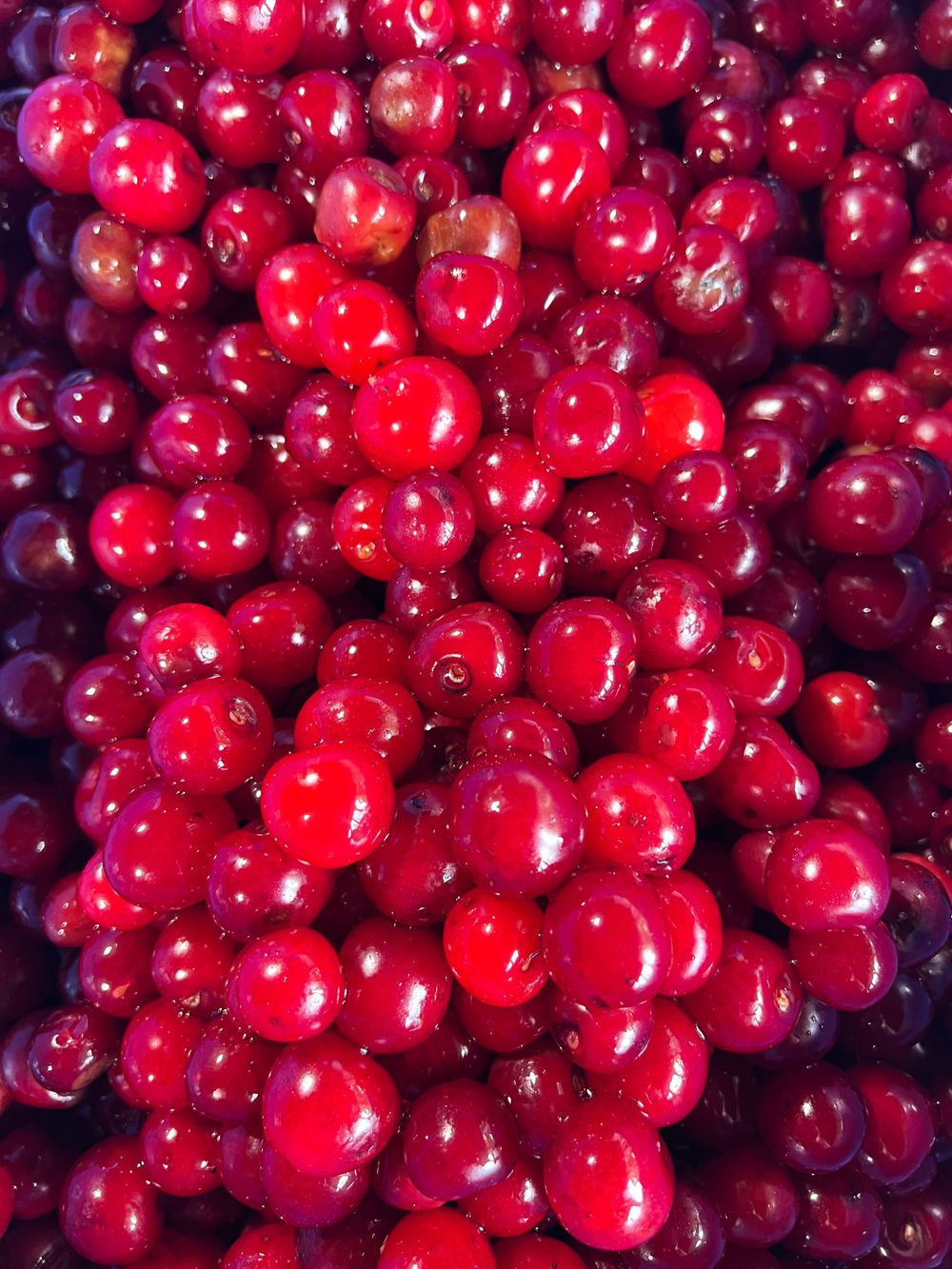 Ruby Moon Blog - Ruby Moon
