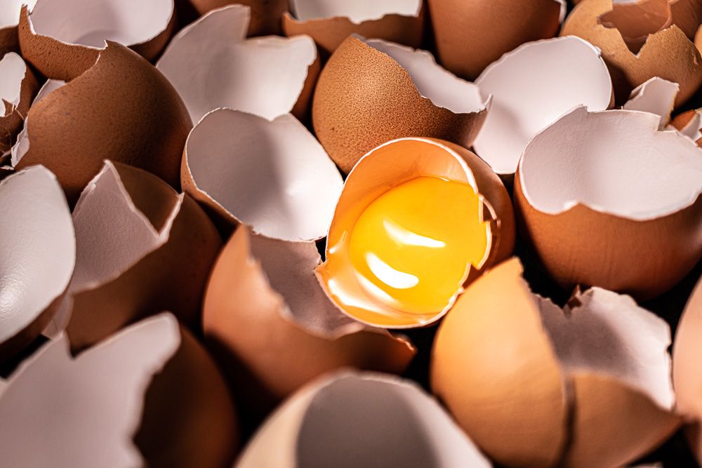 Let's Talk About 3/4 Angle In Food Photography - Three Pod Studio with ...