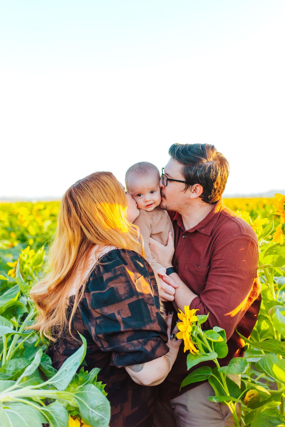 Queen Creek Family Photographer - Arizona Sunflower Field Photoshoot ...