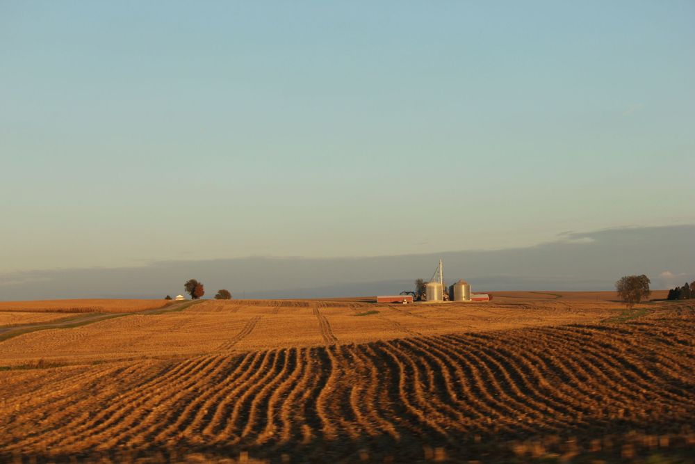 Choosing Creativity - Best Photographers in Colorado | Kelly Photo & Design