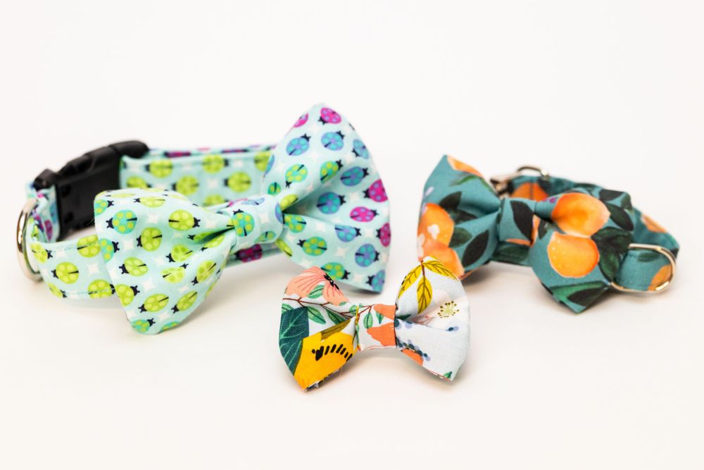 Pet Product Photographer - Precious Pet Photography