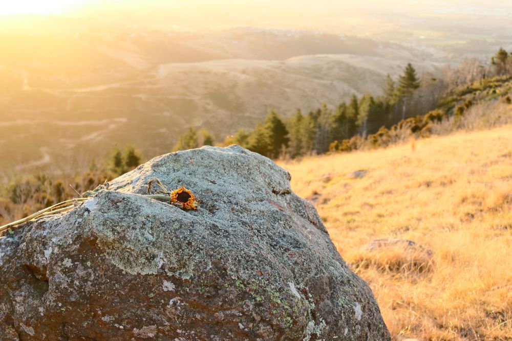 The baseline of props every photographer needs