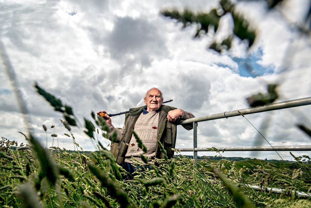 Working on the 'Growing up Wild Campaign' for the Suffolk Wildlife ...