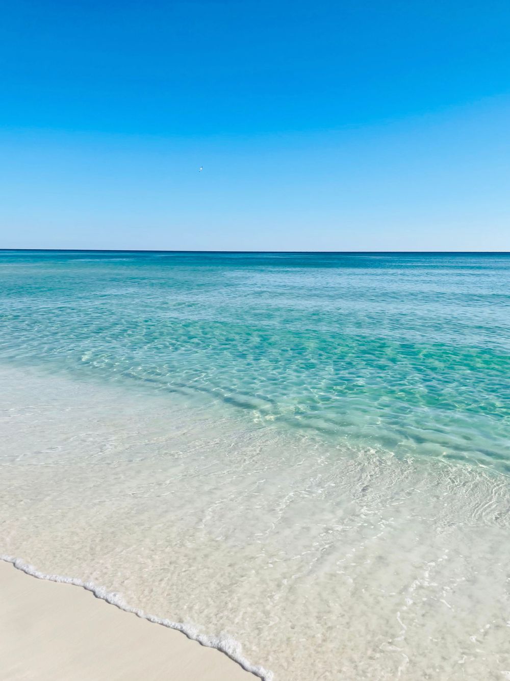 Booking for Spring/Summer 2023 - Miramar Beach, FL Family Photographer ...