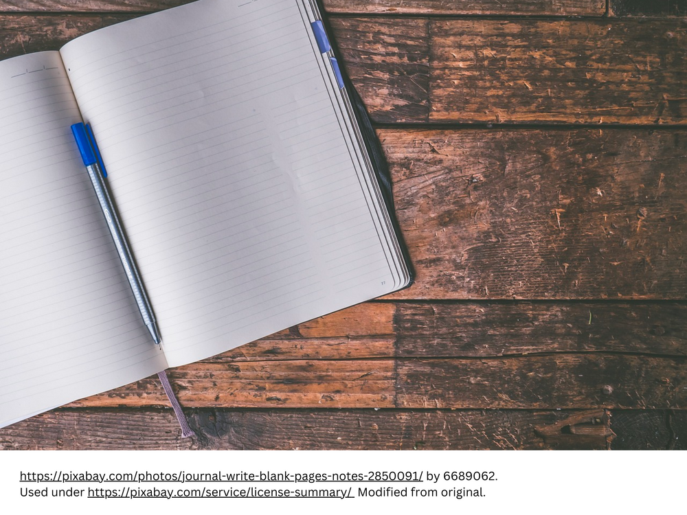 Write it Down! - Kayden Openshaw