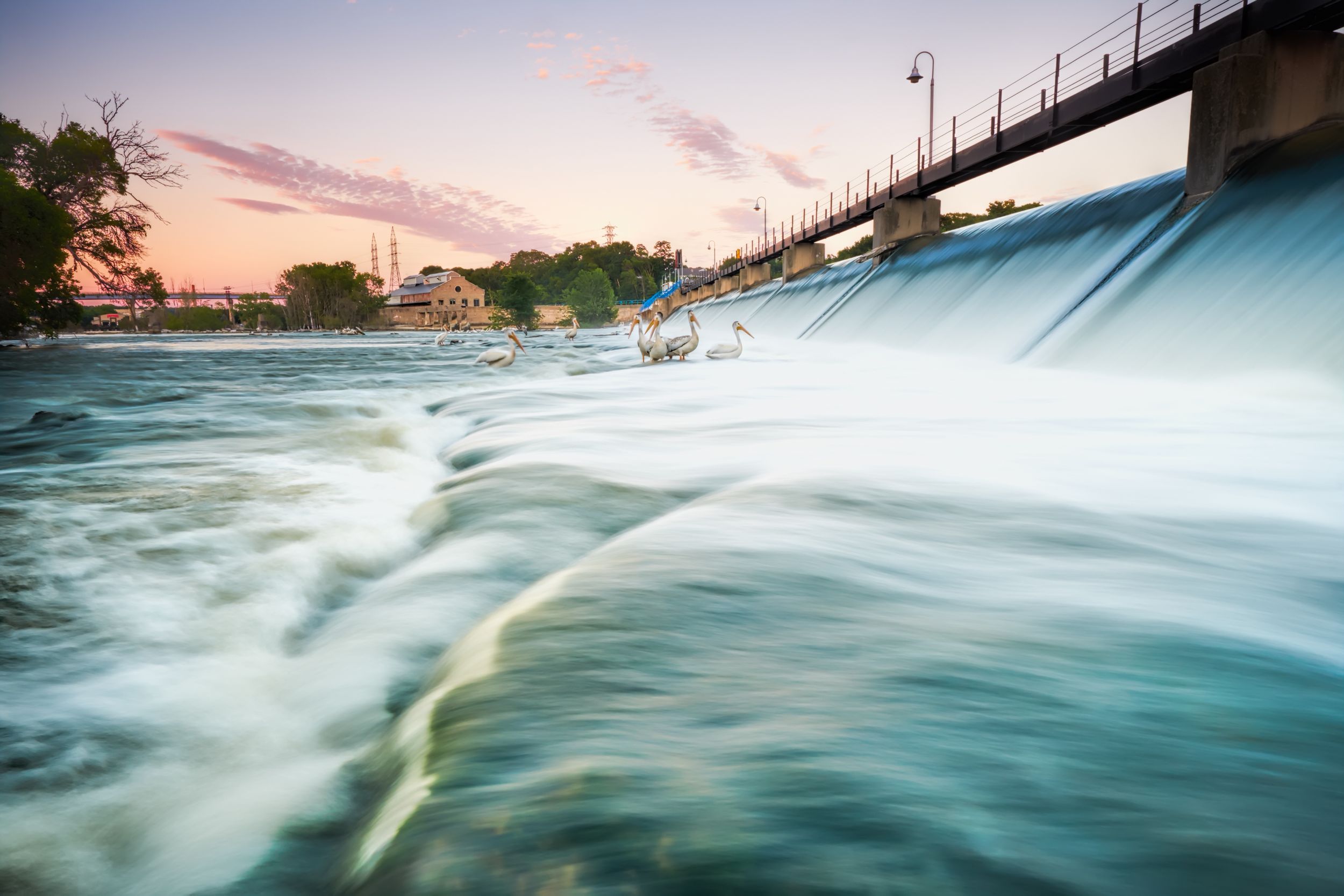 Capturing Cherished Moments: The Best Outdoor Locations in Appleton, WI ...