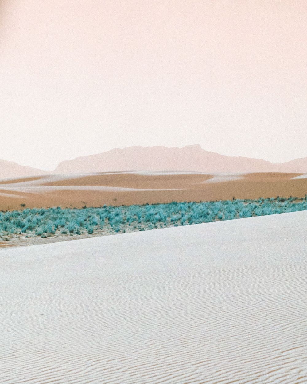 New Mexico Weird - Josiah Walker Photography