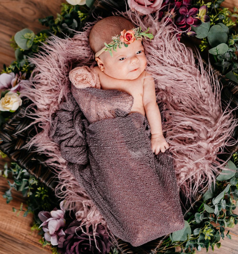 Will & Laura Sundquist Bay Area New Born Photographers Reveal the Five ...