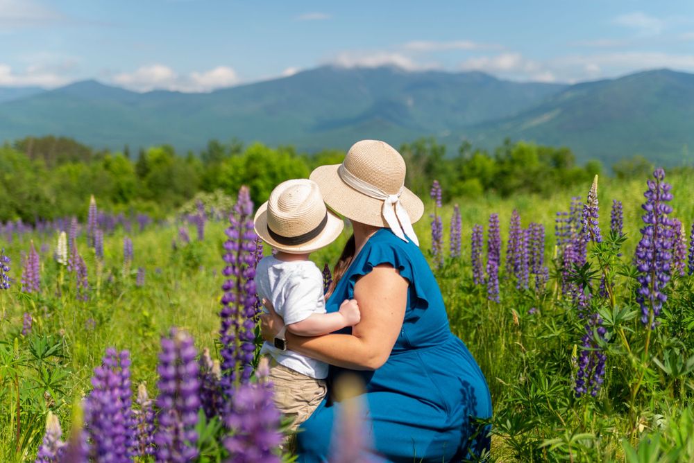 Mastering the Art of Natural Light in Photography - Emily Vale Photography