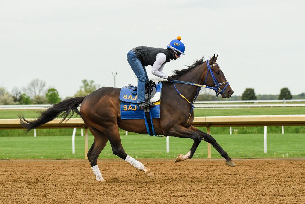 A Morning at Keeneland Race Course - Buffalo, WNY Horse and Pet ...