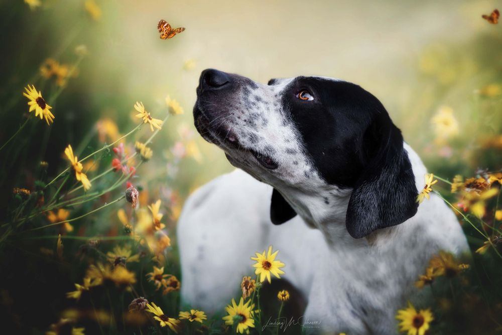 Chouteau Pound Pictures - Lindsay M Johnson Studios