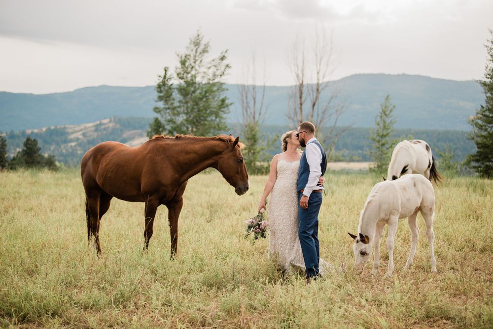Ridgeview Ranch - Katy & Dennis - Sheilah Battersby Photography