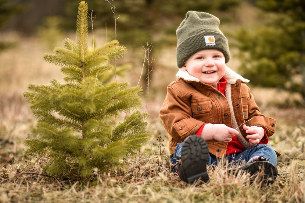 Christmas Tree Mini Sessions - Sage Photography CT