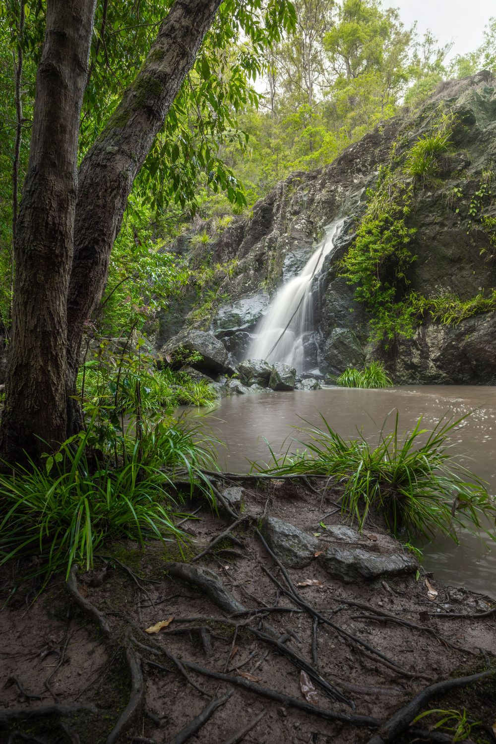 Cilento (Falls) Park Nambour, Sunshine Coast - Depict Media ...
