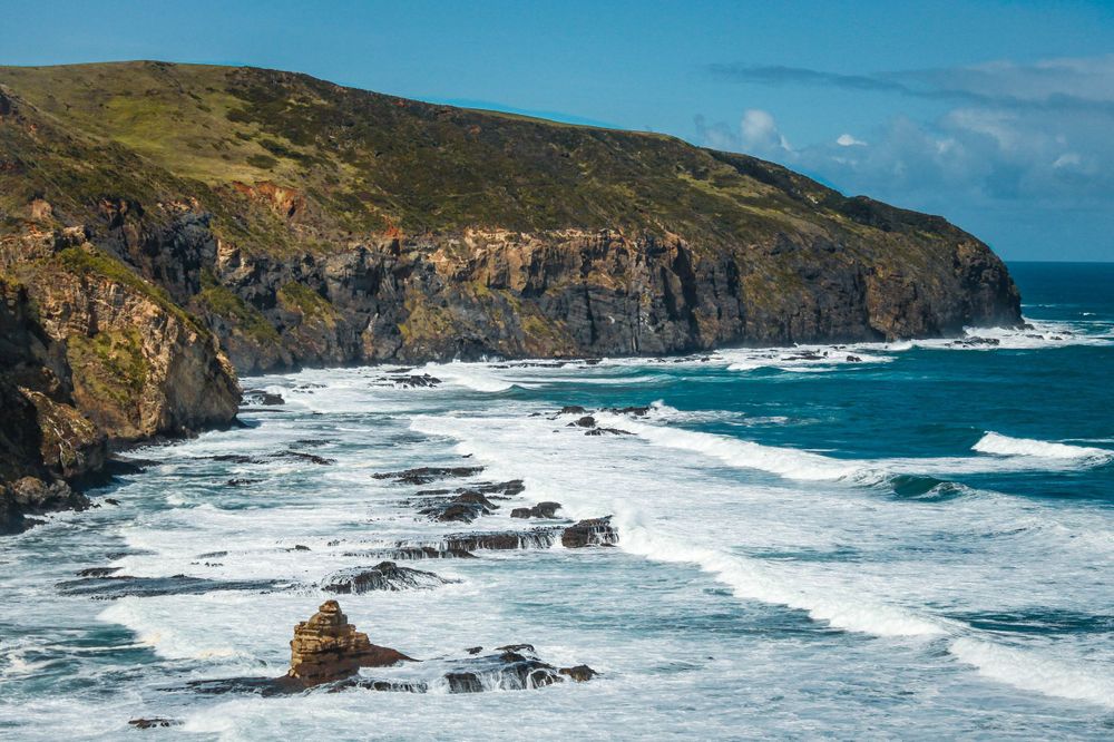 The Te Henga Walkway: Leave the City Behind - Selena Wright Creative