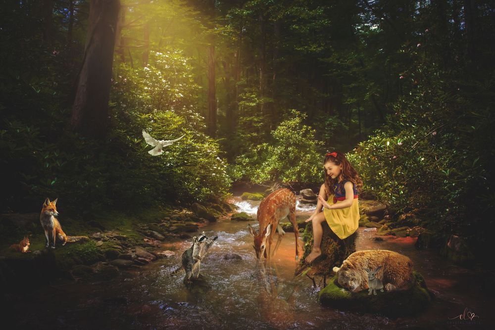 A Brief Guide to Professional Photo Restrictions - Crystal Lovell ...