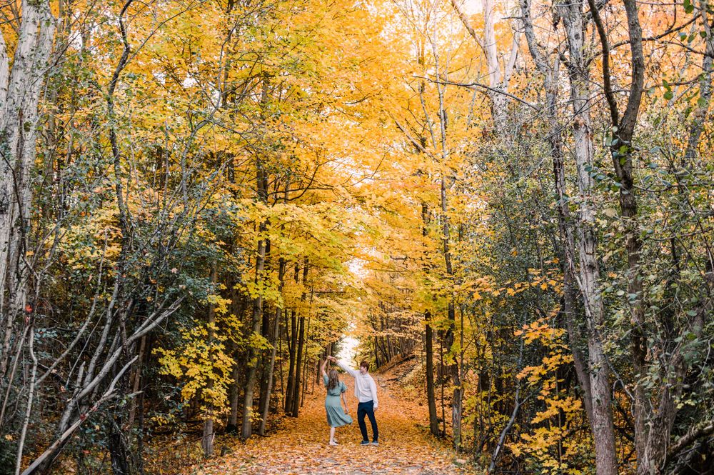 Amanda & Evan - Autumn Colours in Kitchener - Olive Shoots Photography
