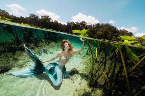 FAQ - Underwater Photo Sessions - Submerge