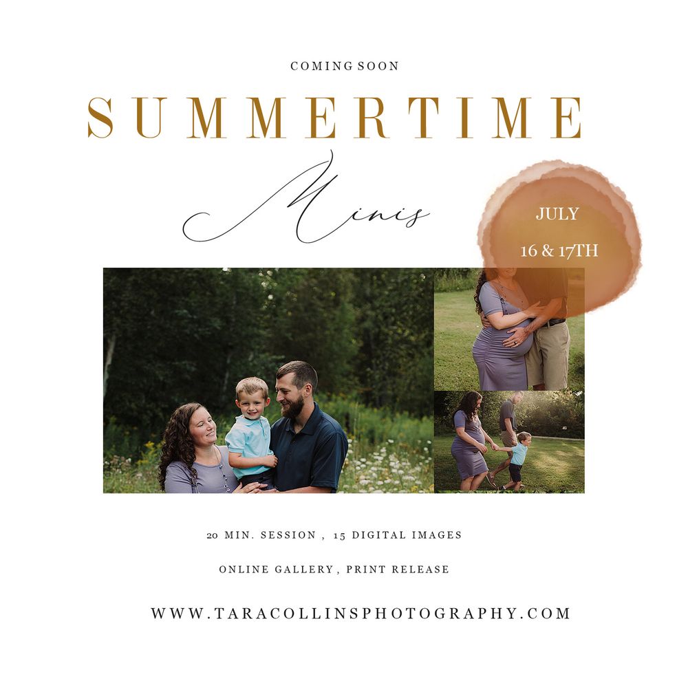 Heading into Summer - Tara Collins Photography