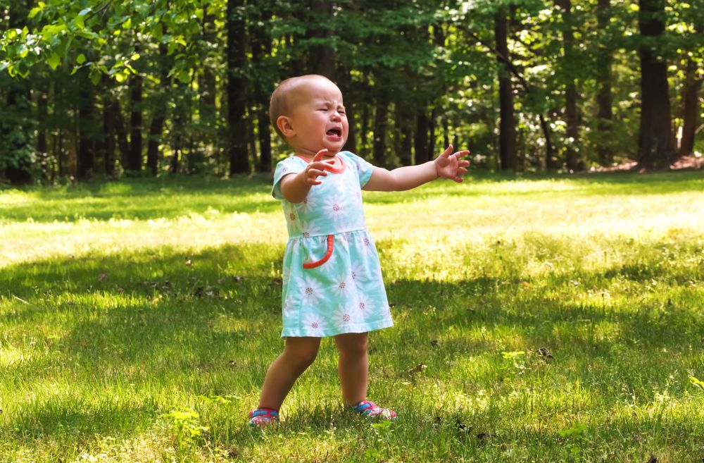 Handling Tears with Care: What to Do If Your Toddler Starts Crying ...